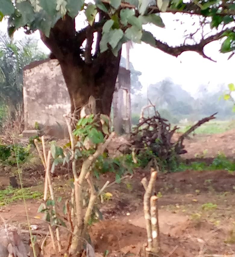 In Photos: NPDC Takes Over OML 11 – The Whistler Newspaper