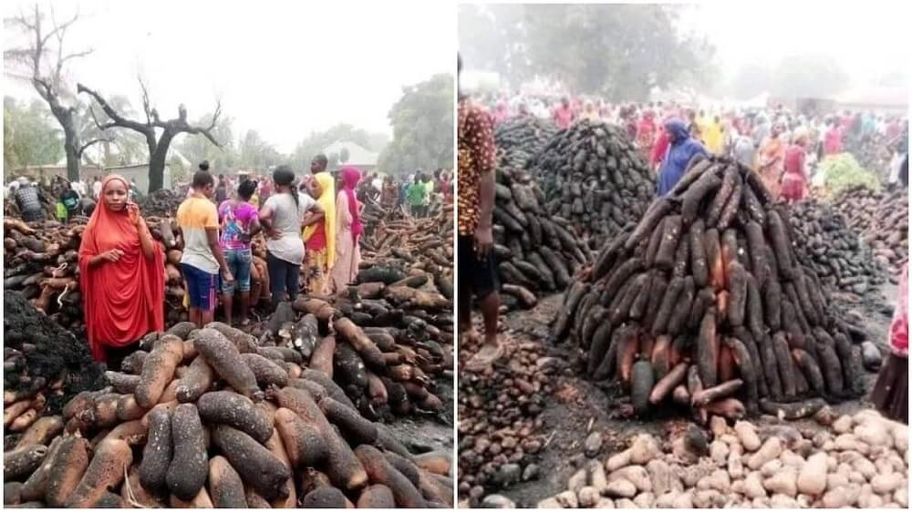 N200m Worth Of Yams Burnt In Taraba Market Fire – The Whistler Newspaper