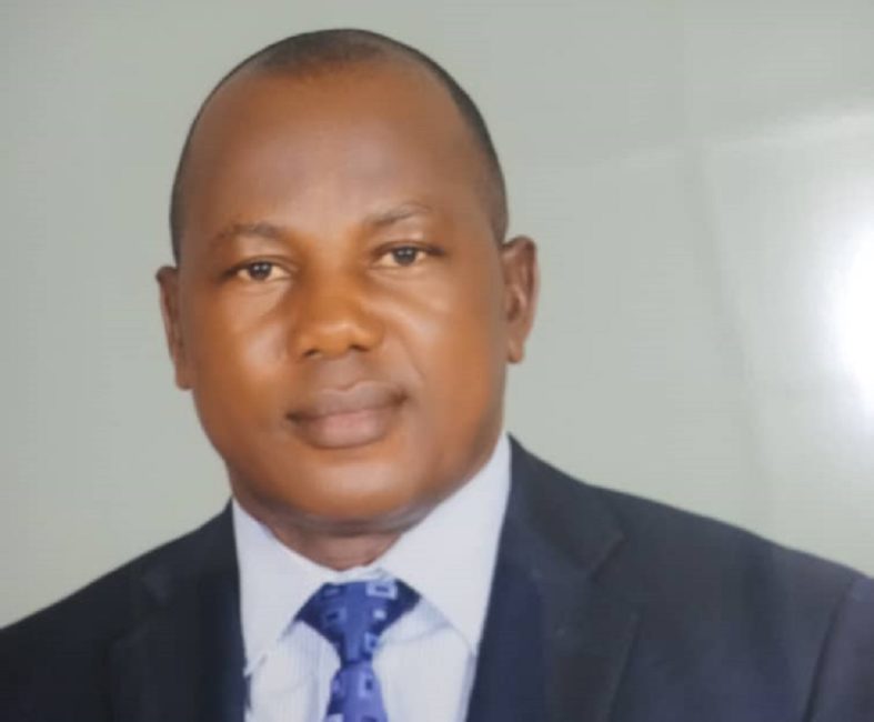 Ex-Enugu IPAC Chairman Says Nigeria Needs 'More Viable Opposition ...