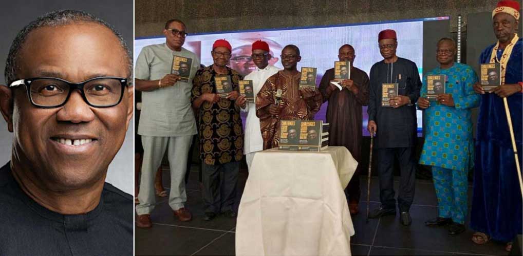 Why Middle Belt Must Support Peter Obi - Bitrus Pogu – The Whistler ...