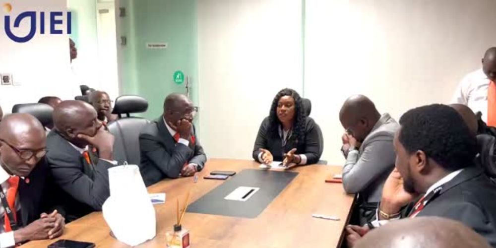 IEI Shareholders Approve ₦28.2bn Share Allotment To Norrenberger – The ...