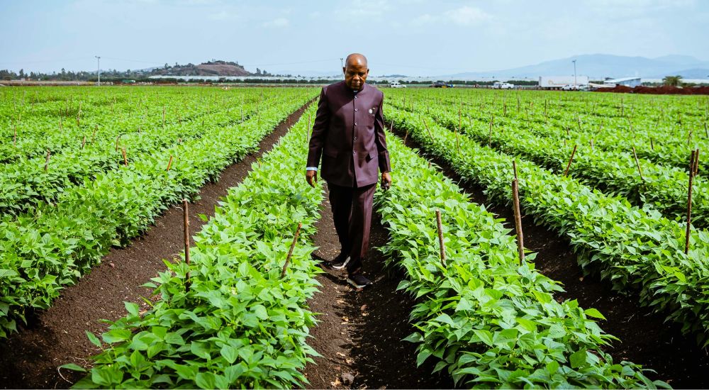 As Nigeria Leads Africa's Climate Conversation – The Whistler Newspaper