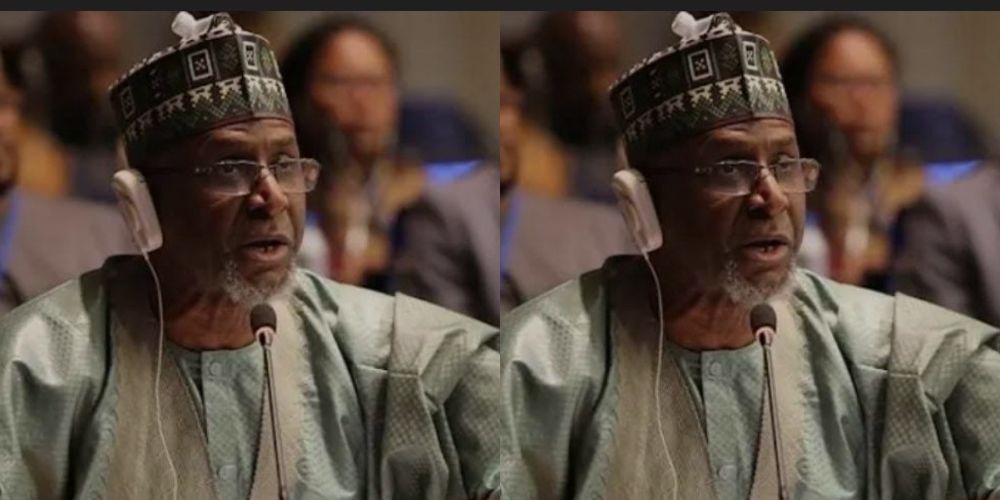 FG Approves National Adaptation Plan To Combat Climate Change – The ...